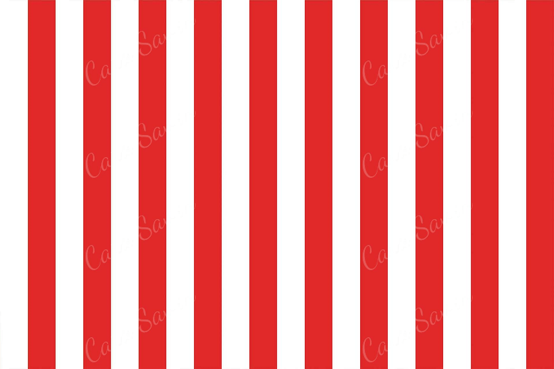 The Right Stripe - Cara Saven Wall Design