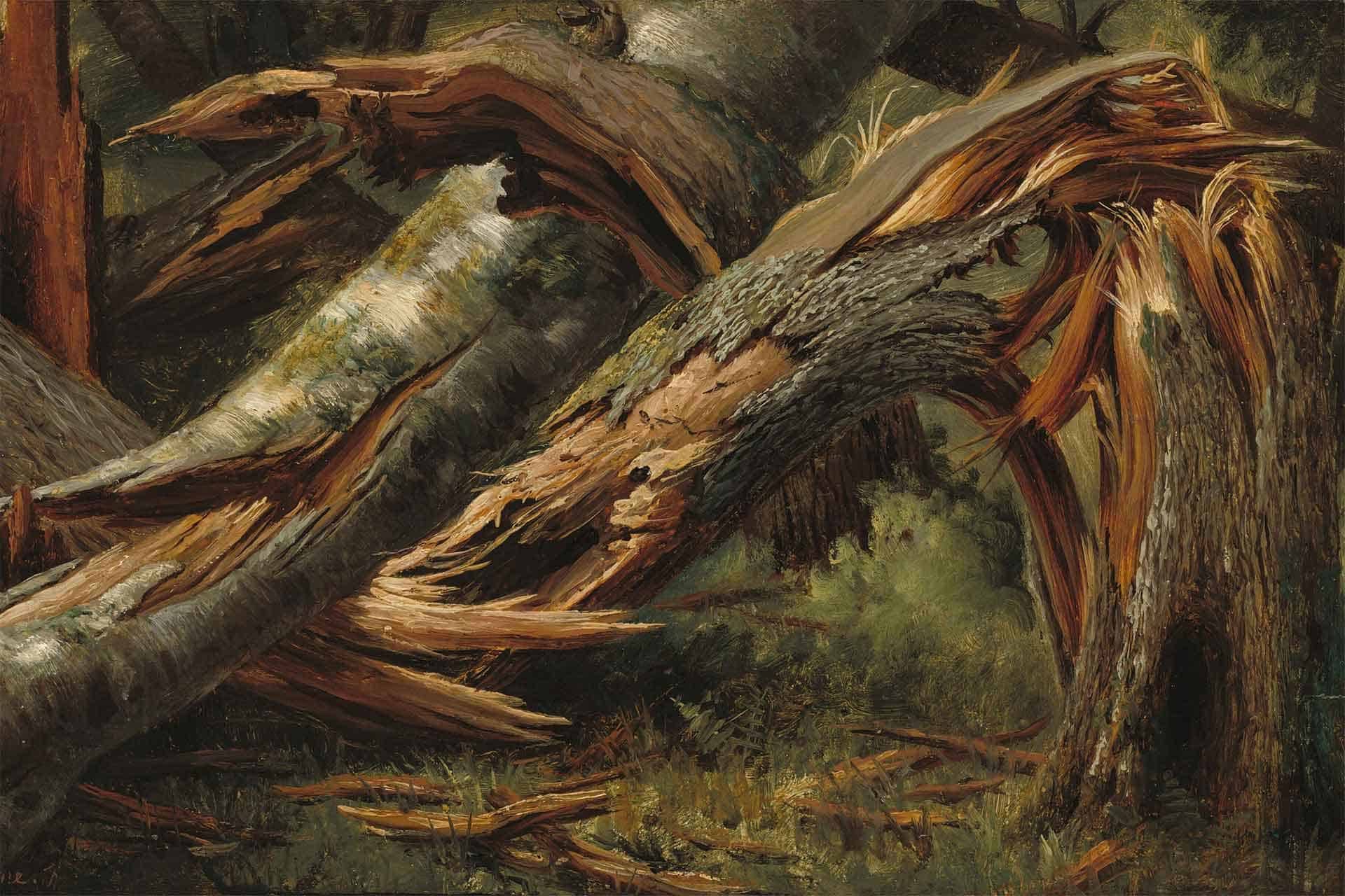 Fallen Tree - Cara Saven Wall Design